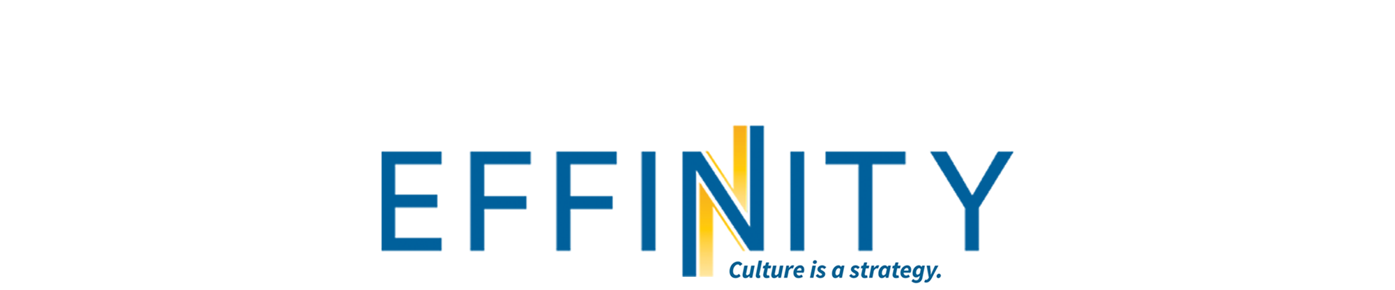 Metropolitan Ministries Effinity - Professional Development Program